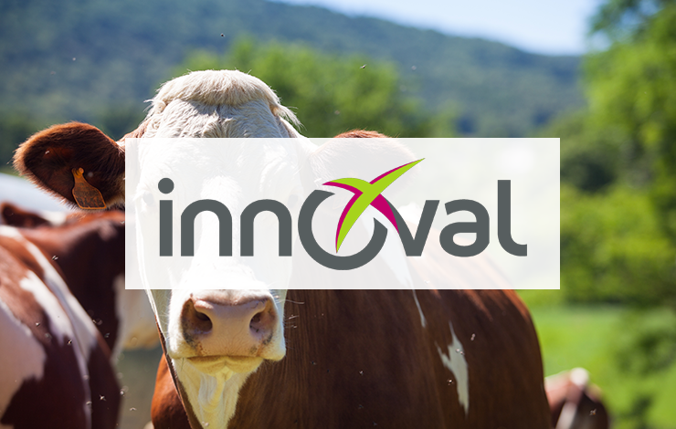 Innoval optimise ses opérations terrain avec Nomadia Field Service ...